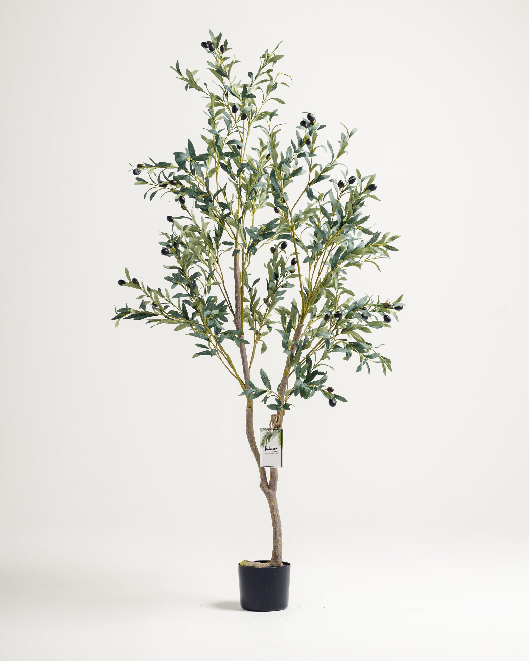 Elegant Olive Tree With 2 Branches | Timeless Home Decor