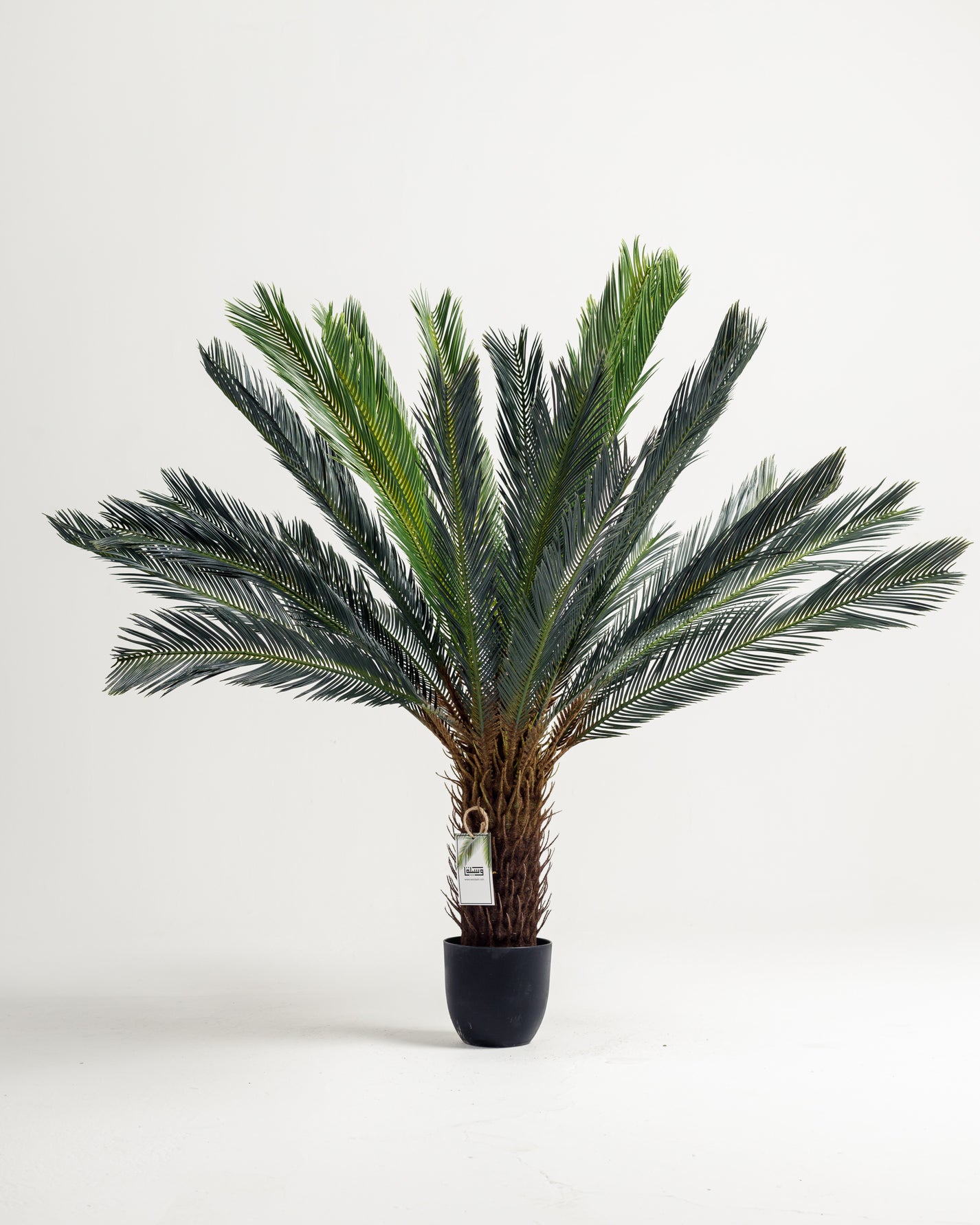 Lux Palm Tree – Lifelike Artificial Plant | Wasilaah